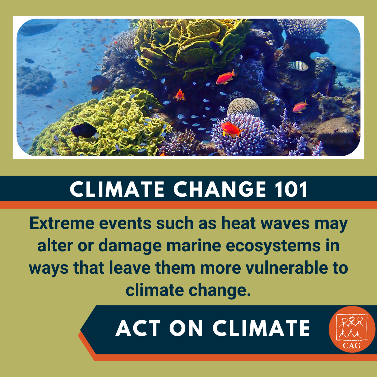 Climate Change - Impact on marine ecosystems | CAG