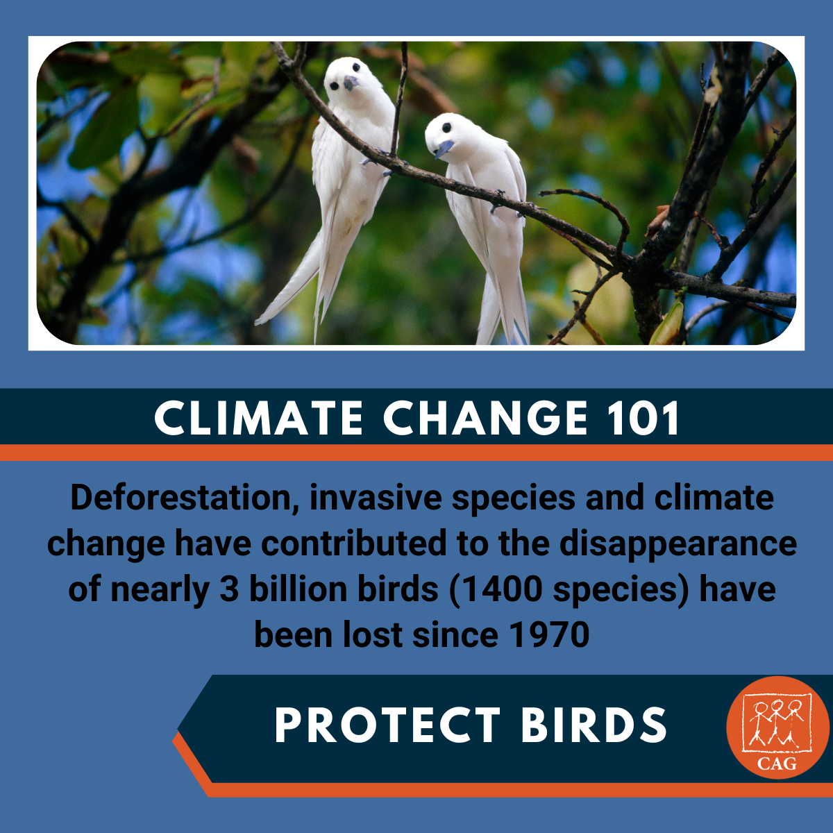 Climate Change - Protect birds with habitat restoration | CAG