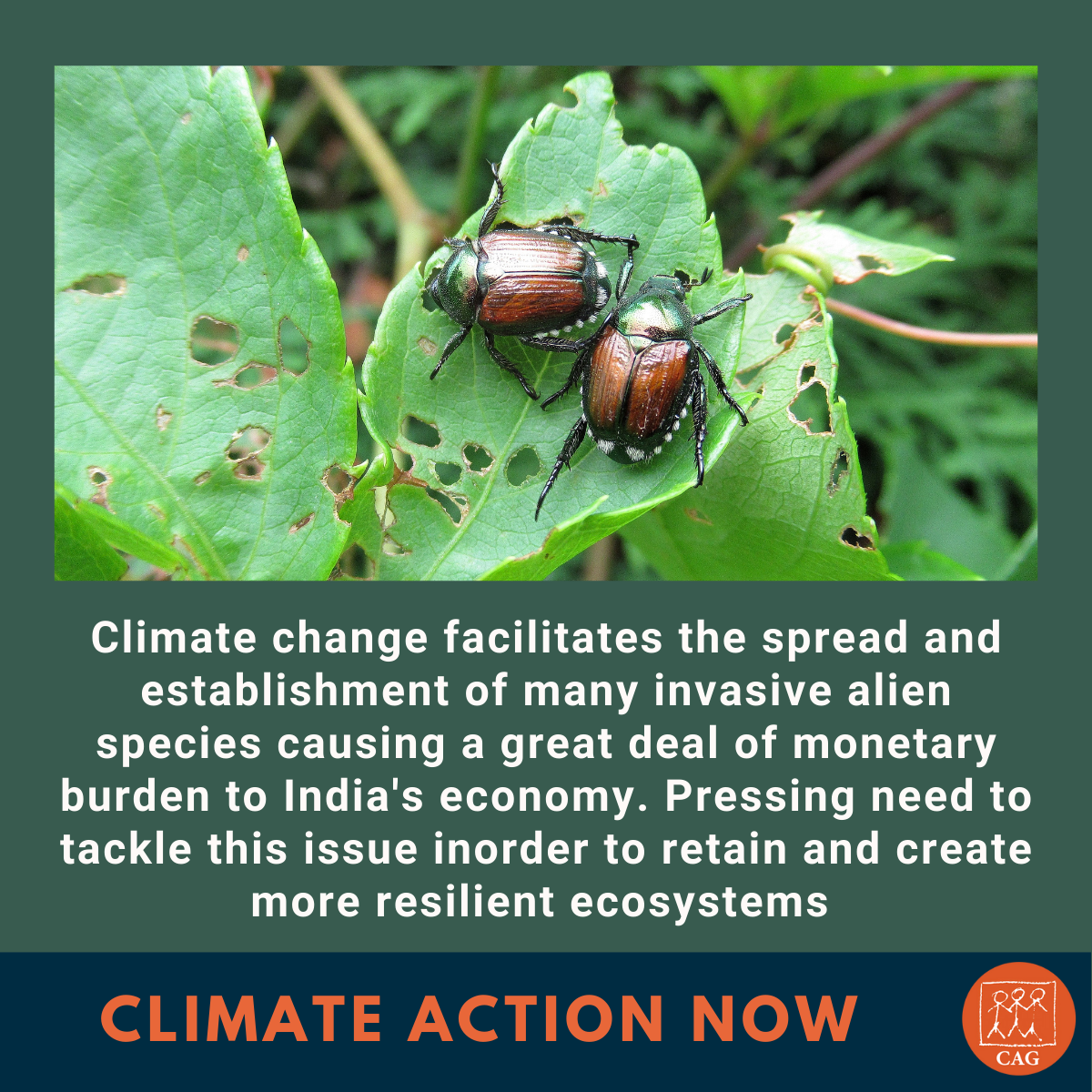 Climate Change - Establishment of invasive species | CAG