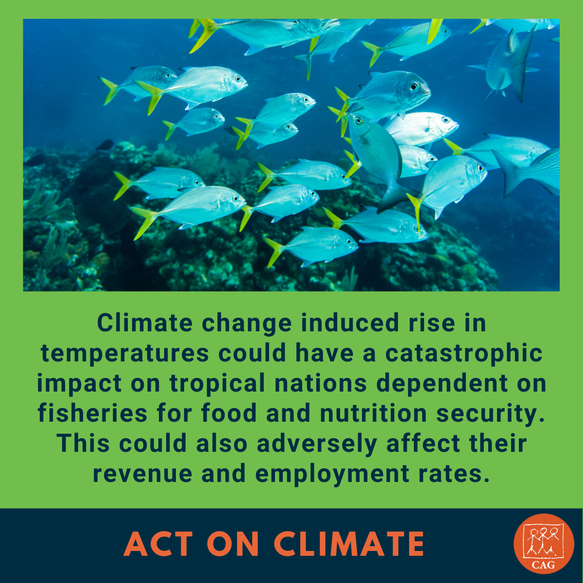 Climate Change - Global fish stocks | CAG