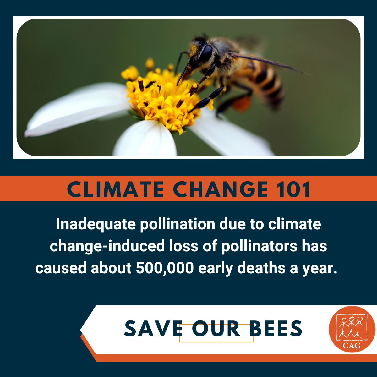 Climate Change - Save our Bees | CAG