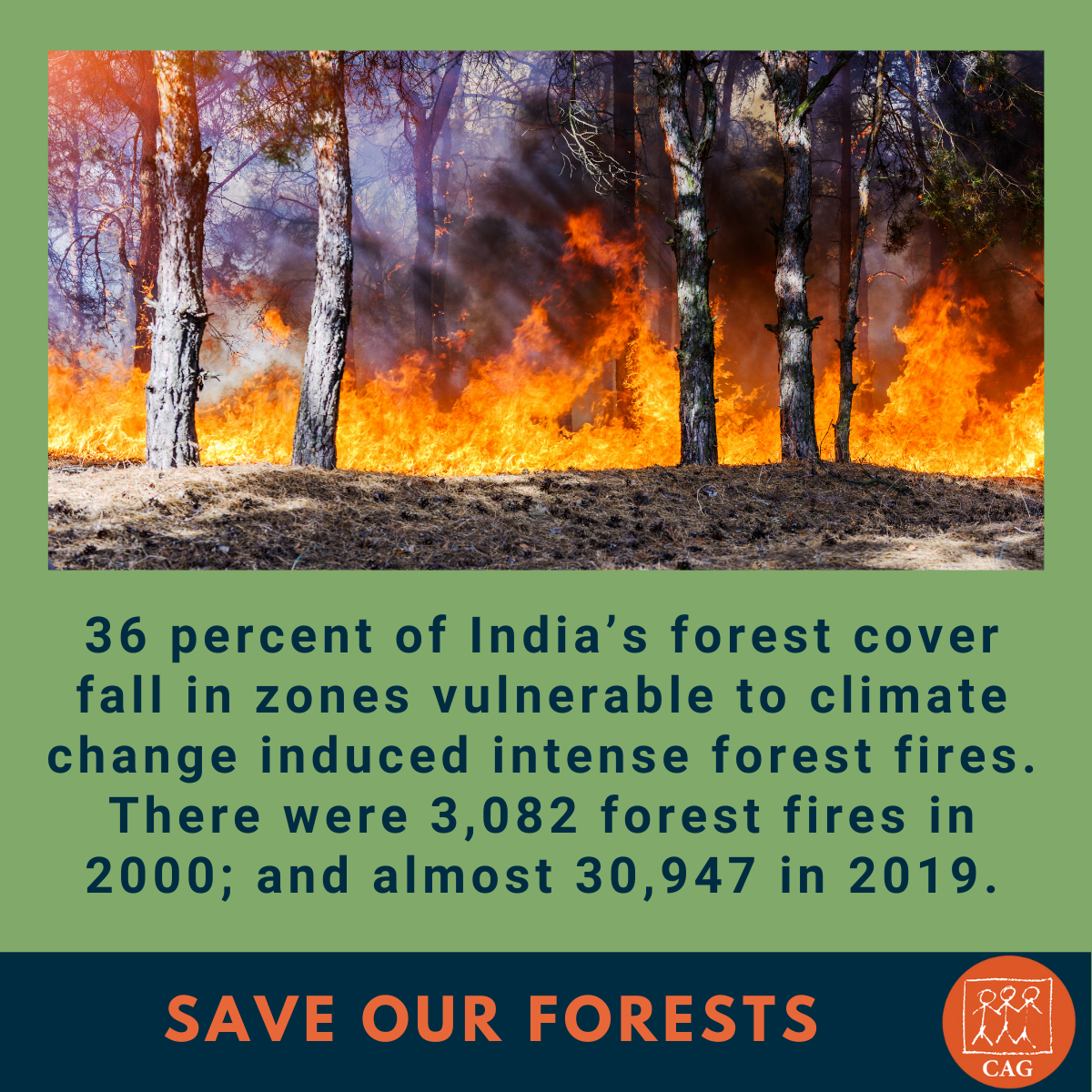 Climate Change - Rise of Forest Fires | CAG