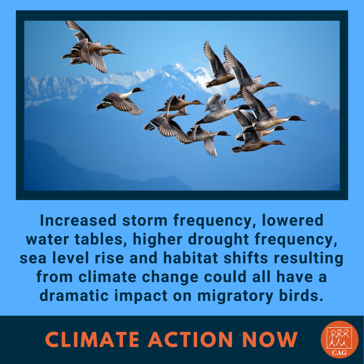 Climate Change - Impact on migratory birds | CAG