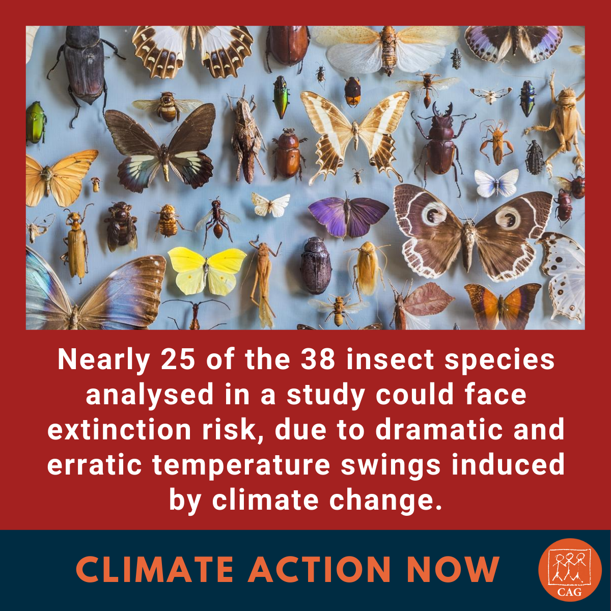 Climate Change - Biodiversity loss | CAG