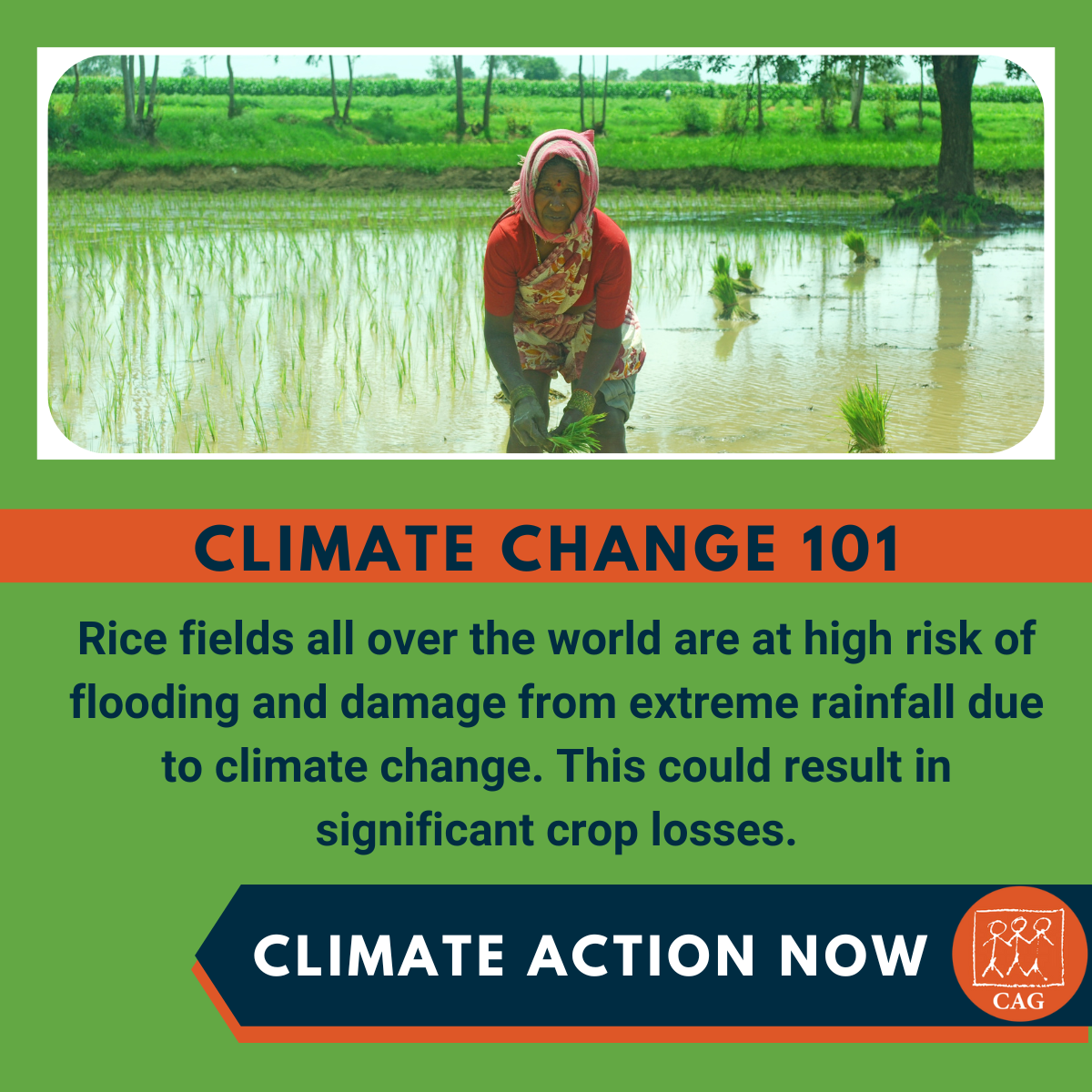 Climate Change - Threat to global food security | CAG