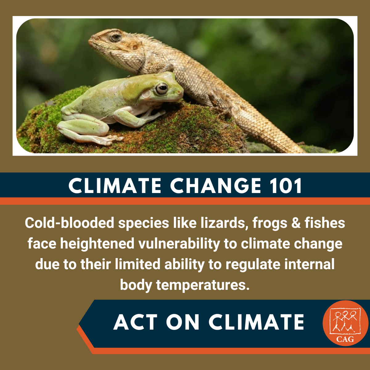 Climate Change - Extinction of mammal species | CAG