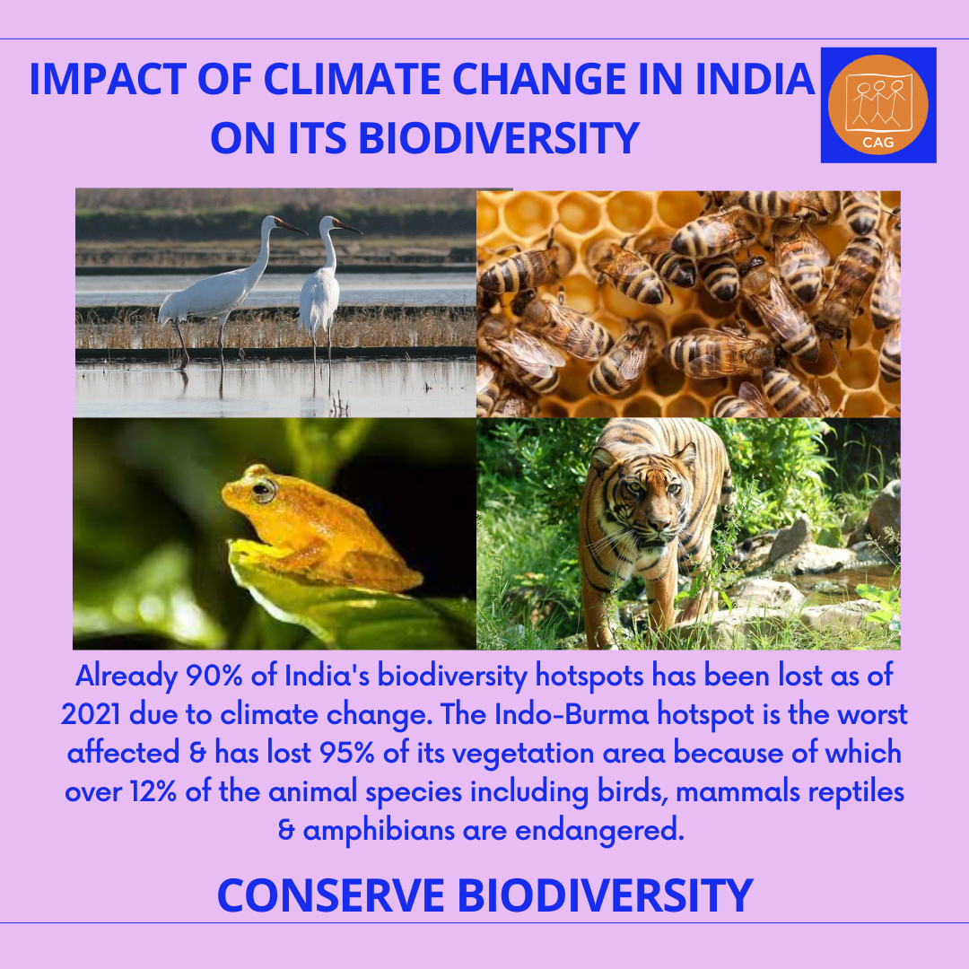 Climate Change - Impact on biodiversity | CAG