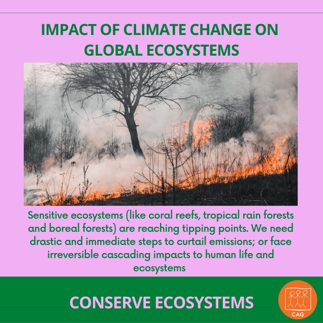 Climate Change - Impact on Global Ecosystems | CAG