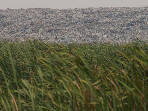 Is biomining the answer? | CAG